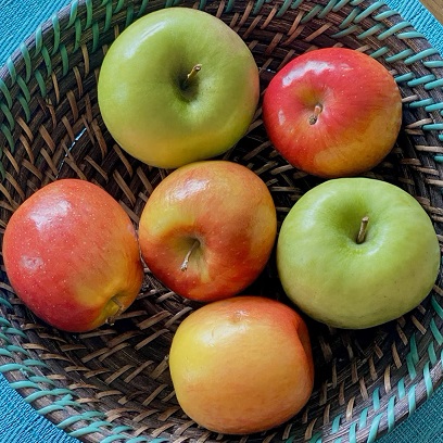 Apple Trees - Palm Farm Nursery