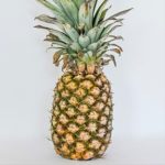 Pineapple ‘Smooth Cayenne’ - Palm Farm Nursery